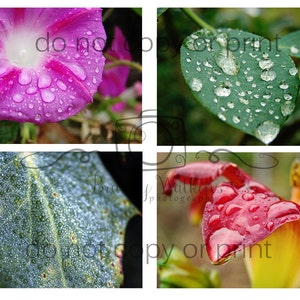 Rain Drop Wall Art Farmhouse Living Room Decor Floral Wall - Etsy