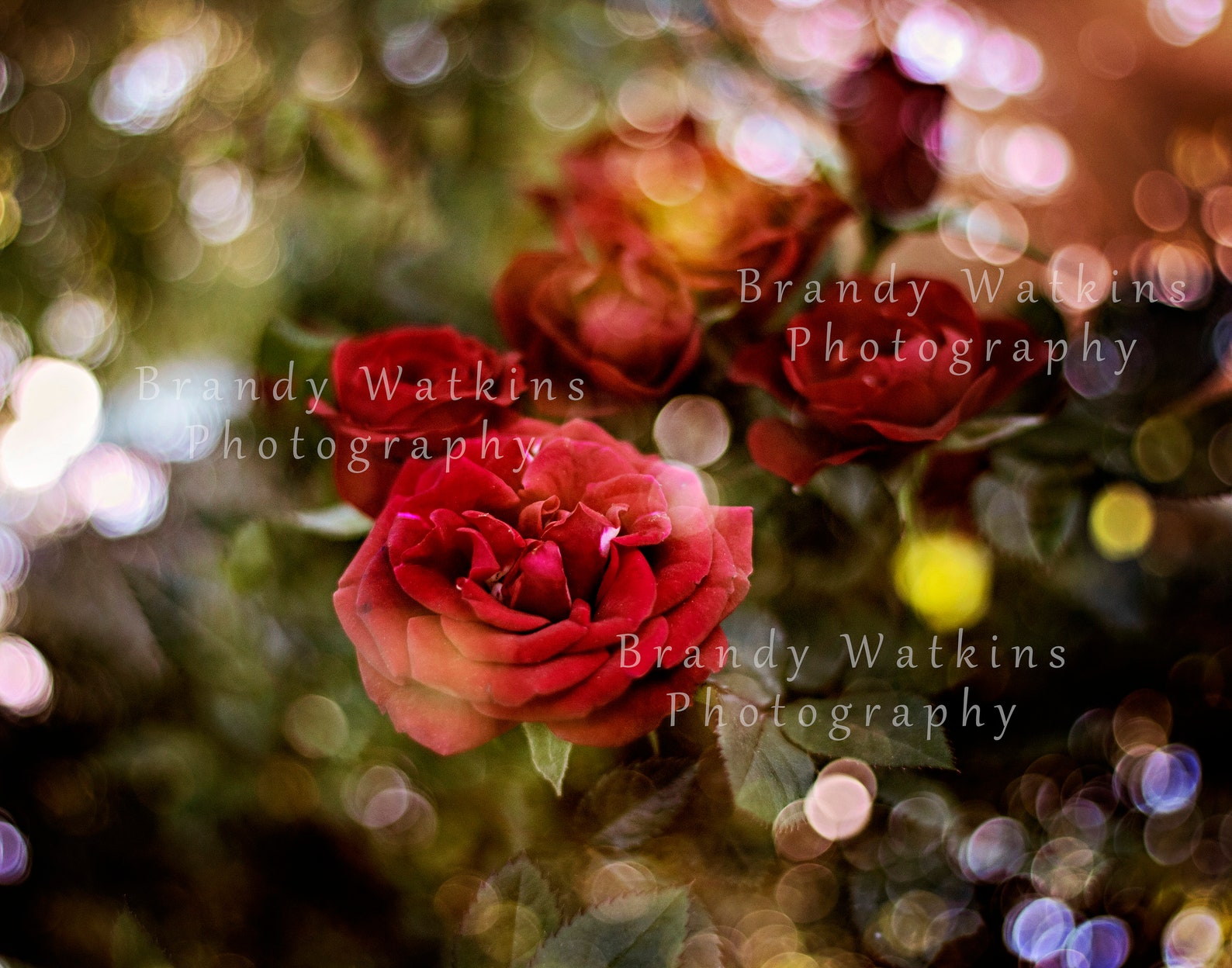 Red Rose Whimsical Printable Wall Art Whimsical Wall Print - Etsy