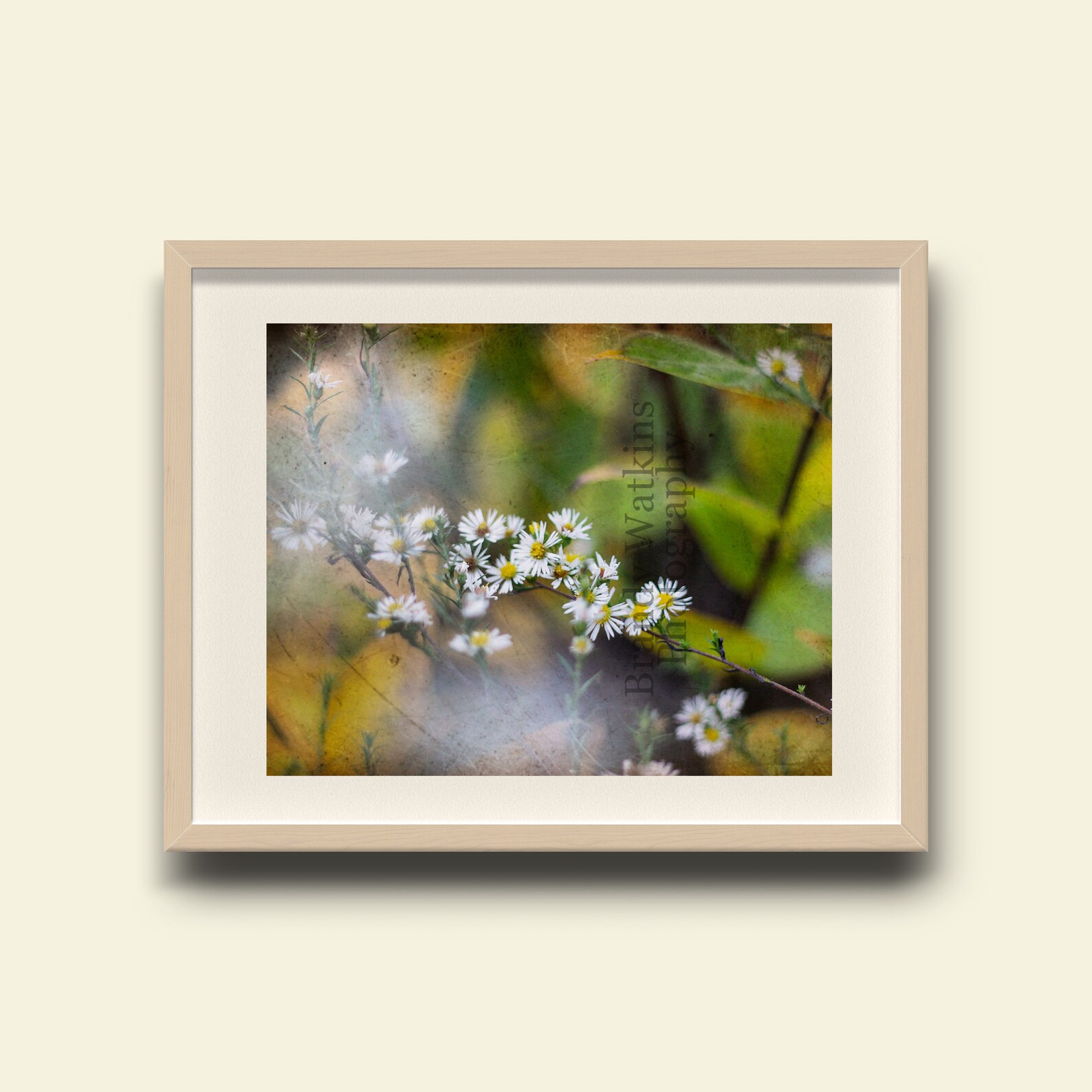 Autumn Daisies Digital Printable Art, Fine Art Photography, Daisy Print ...
