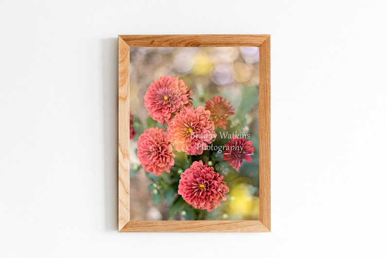Red Mums Floral Photography Print Download, Fine Art Photography, Fine ...