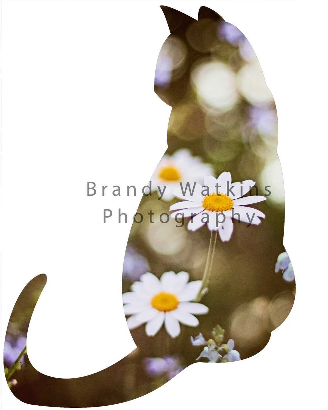 Floral Cat Silhouette, Cat Floral Photography, Cat Lover Gift, Cat Lady ...