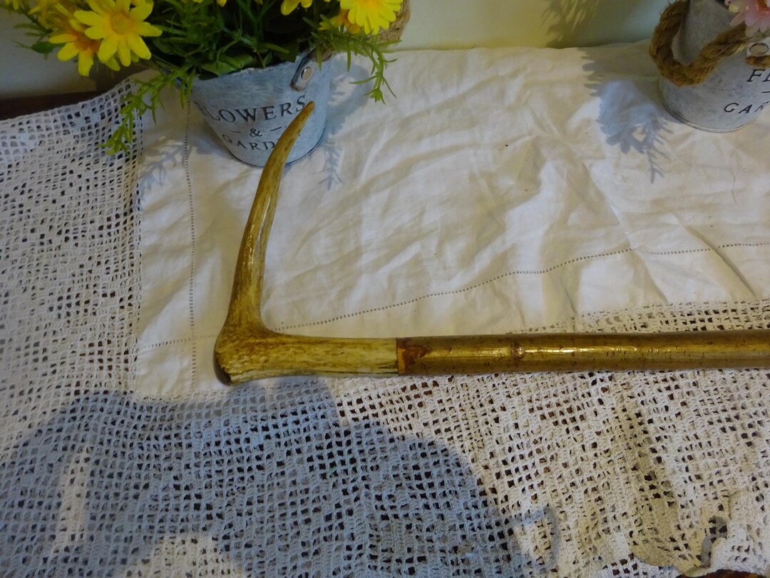 Vintage Hazelwood Walking Stick With Polished Antler Handle & Tip ...
