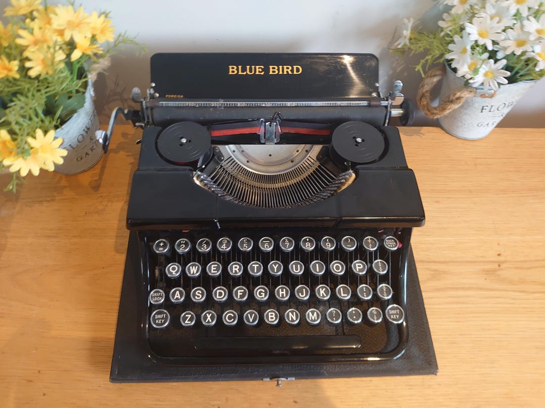Vintage Blue Bird Typewriter in Stunning Condition With Case Also in ...