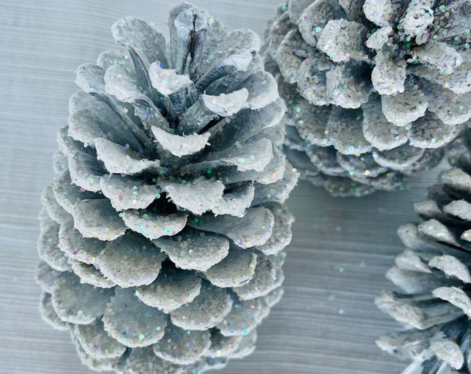 Set of 3 Large White Glittered Pinecones. White Pinecones. - Etsy