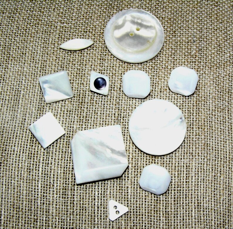 Lot of 11: Antique Shell Buttons Showing Great Variety of Shapes - Etsy