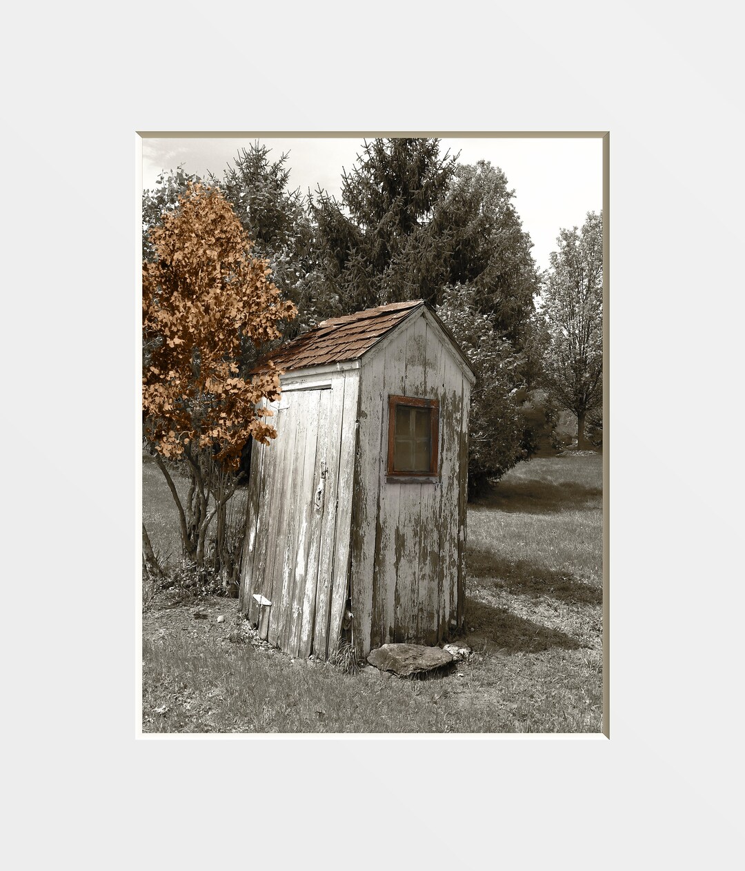 Brown White Vintage Outhouse Photography Photo Art Bathroom Laundry ...