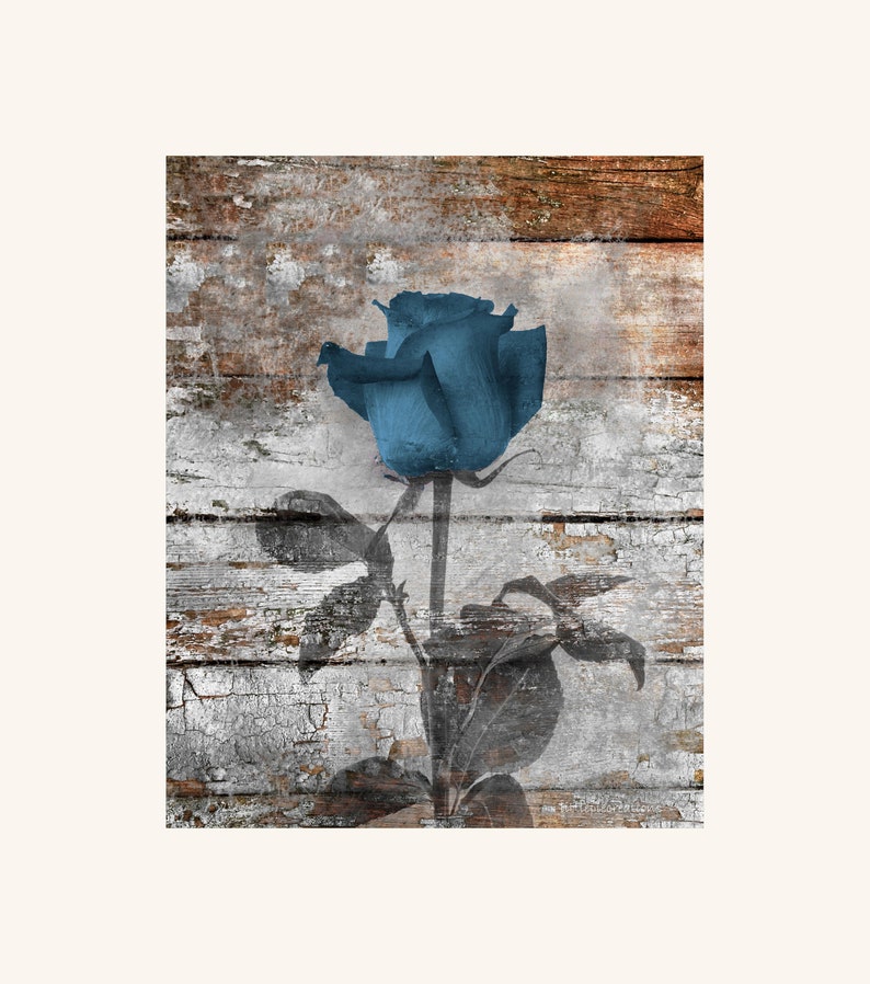 Rustic Blue Wall Decor Photography Photo Art Butterfly - Etsy