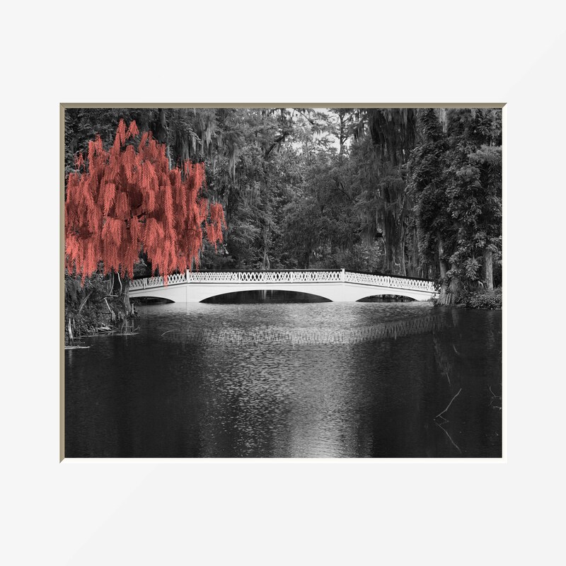 Coral Picture Frame - Etsy