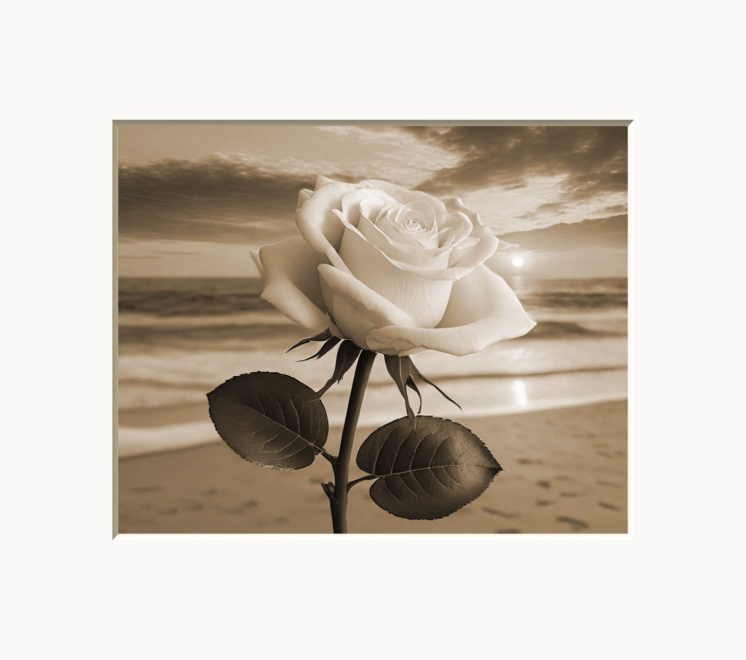 Brown Beige Neutral Rose Flower Beach Home Decor Bathroom Bedroom ...