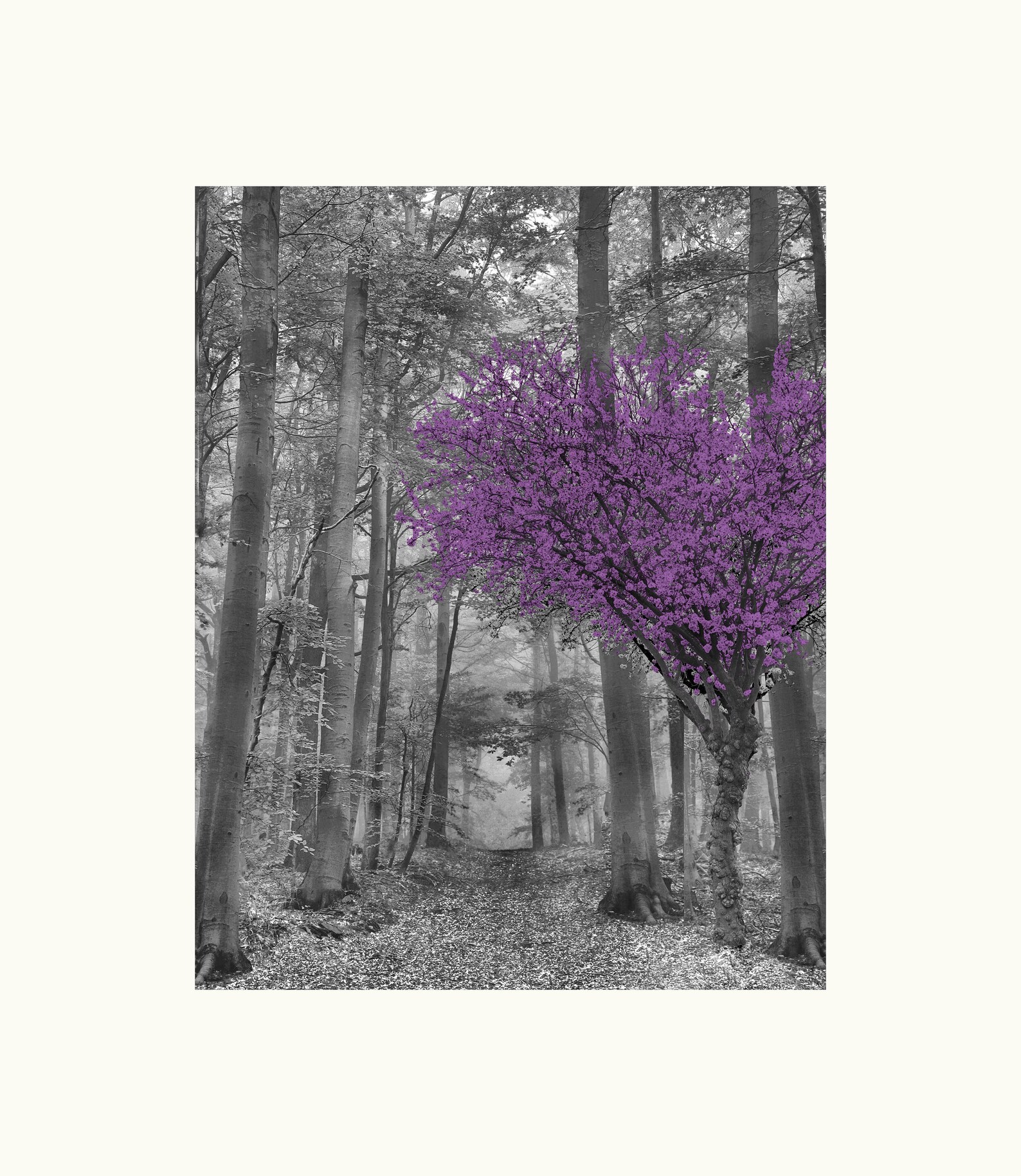Black White Purple Moon Tree Home Decor Bedroom Photography - Etsy