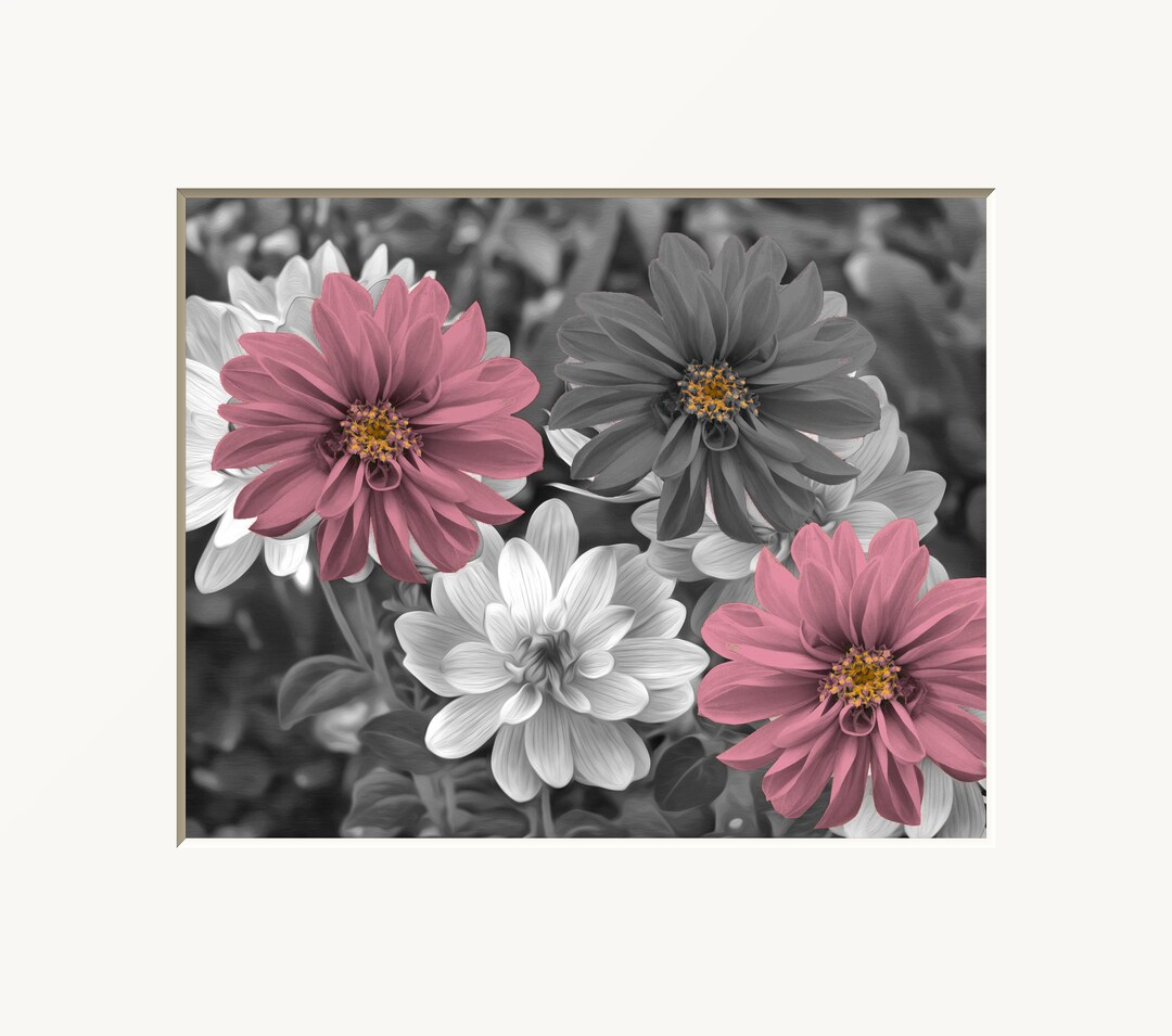 Pink Gray Dahlia Flowers Home Decor Photography Matted Bedroom Bathroom ...
