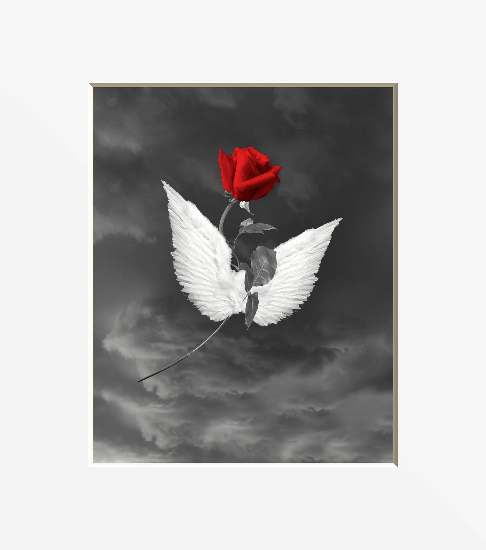 Black White Red Rose Flower Angel Wings Home Decor Bedroom | Etsy