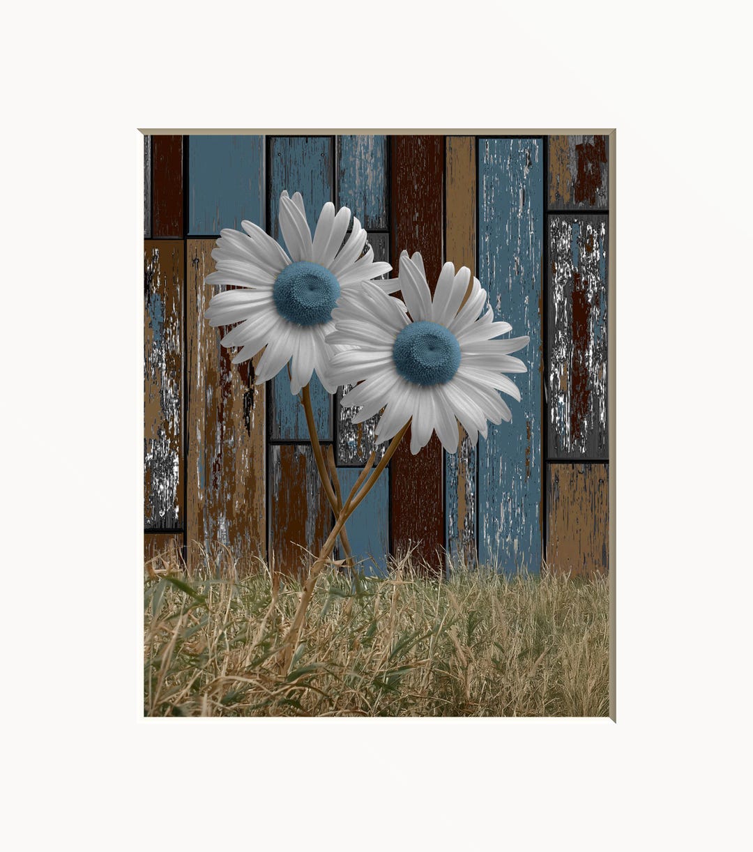 Farmhouse Decor, Blue Rustic Decor, Daisy Flowers, Brown Blue Matted ...