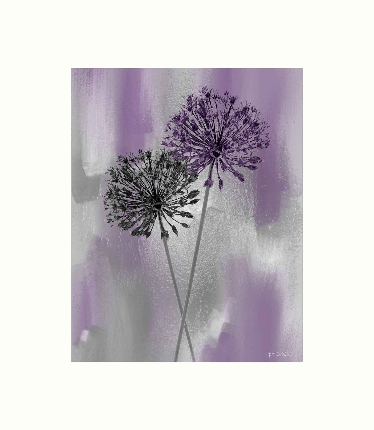 Black White Purple Moon Tree Home Decor Bedroom Photography - Etsy