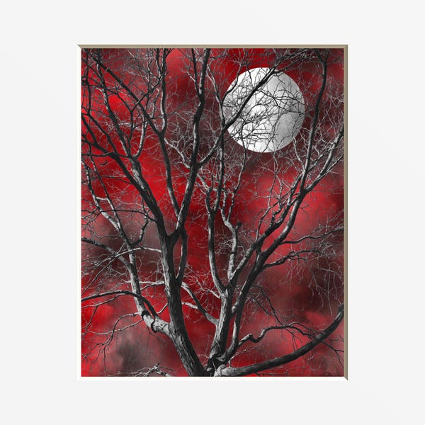 Blue Red Wall Decor - Etsy