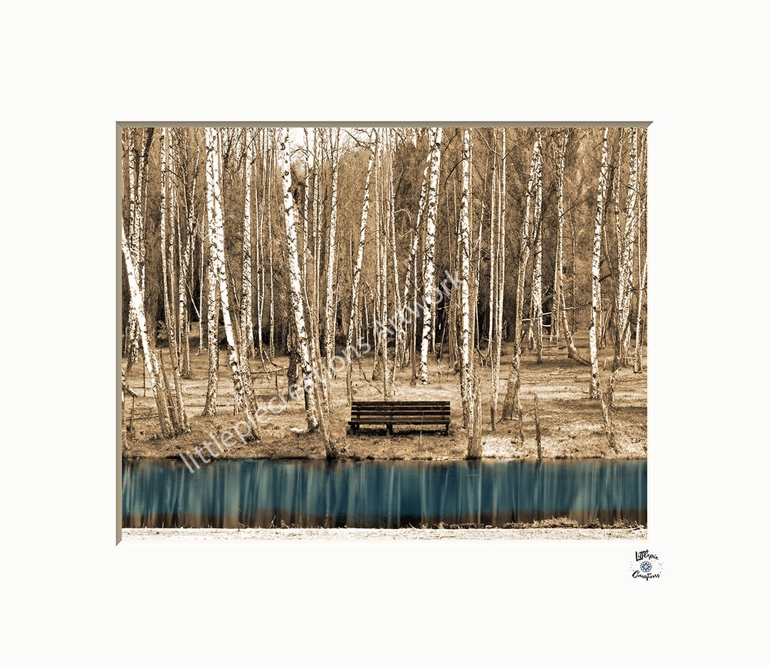 Brown Blue Birch Tree Creek Landscape Home Decor Matted Wall Art ...