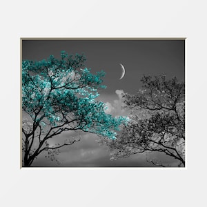 Teal Wall Art Picture, Tree Moon Decor, Teal Modern Bedroom Decor, Moon ...