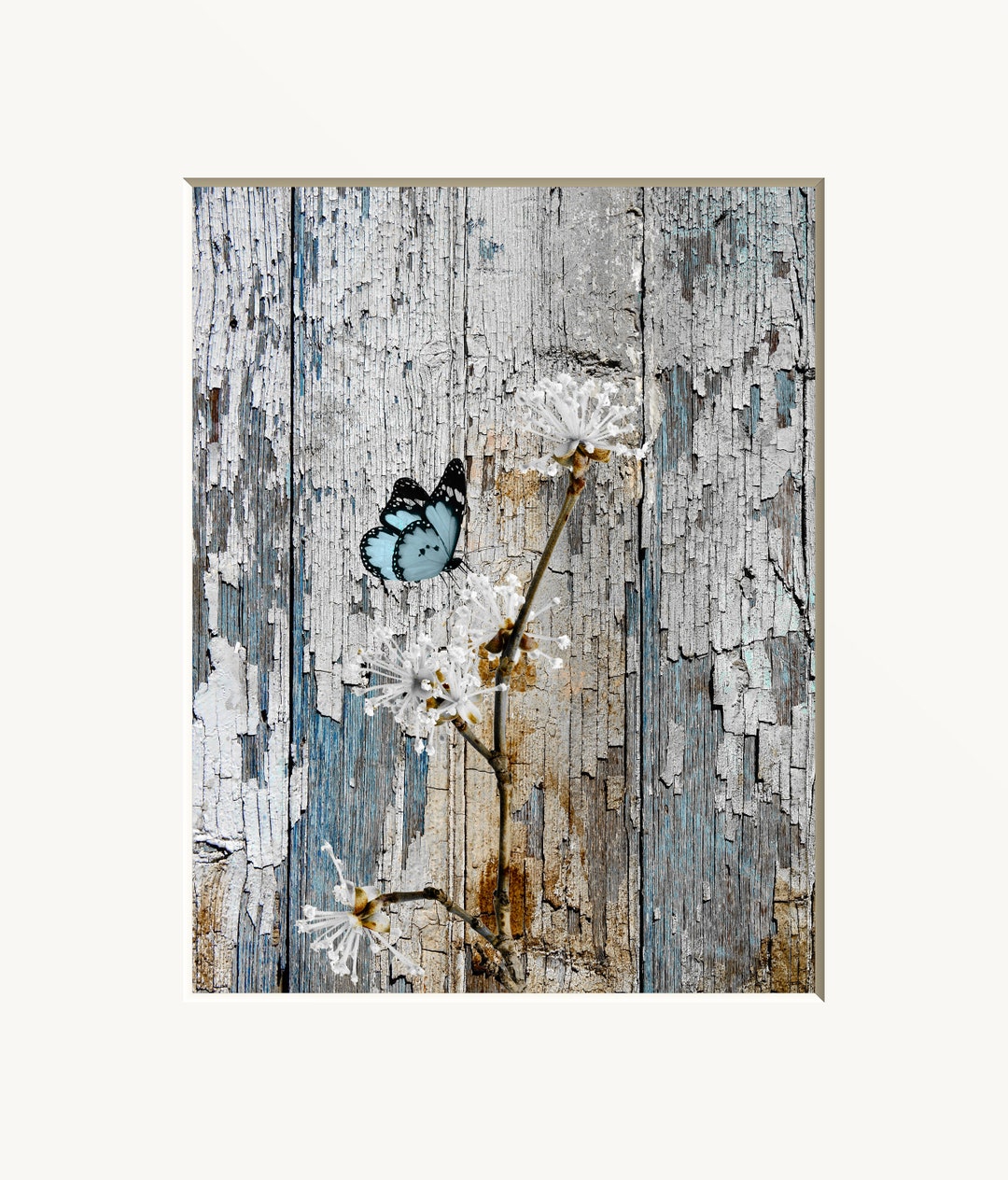 Rustic Blue Wall Decor, Photography Photo Art, Butterfly Artwork, Blue ...