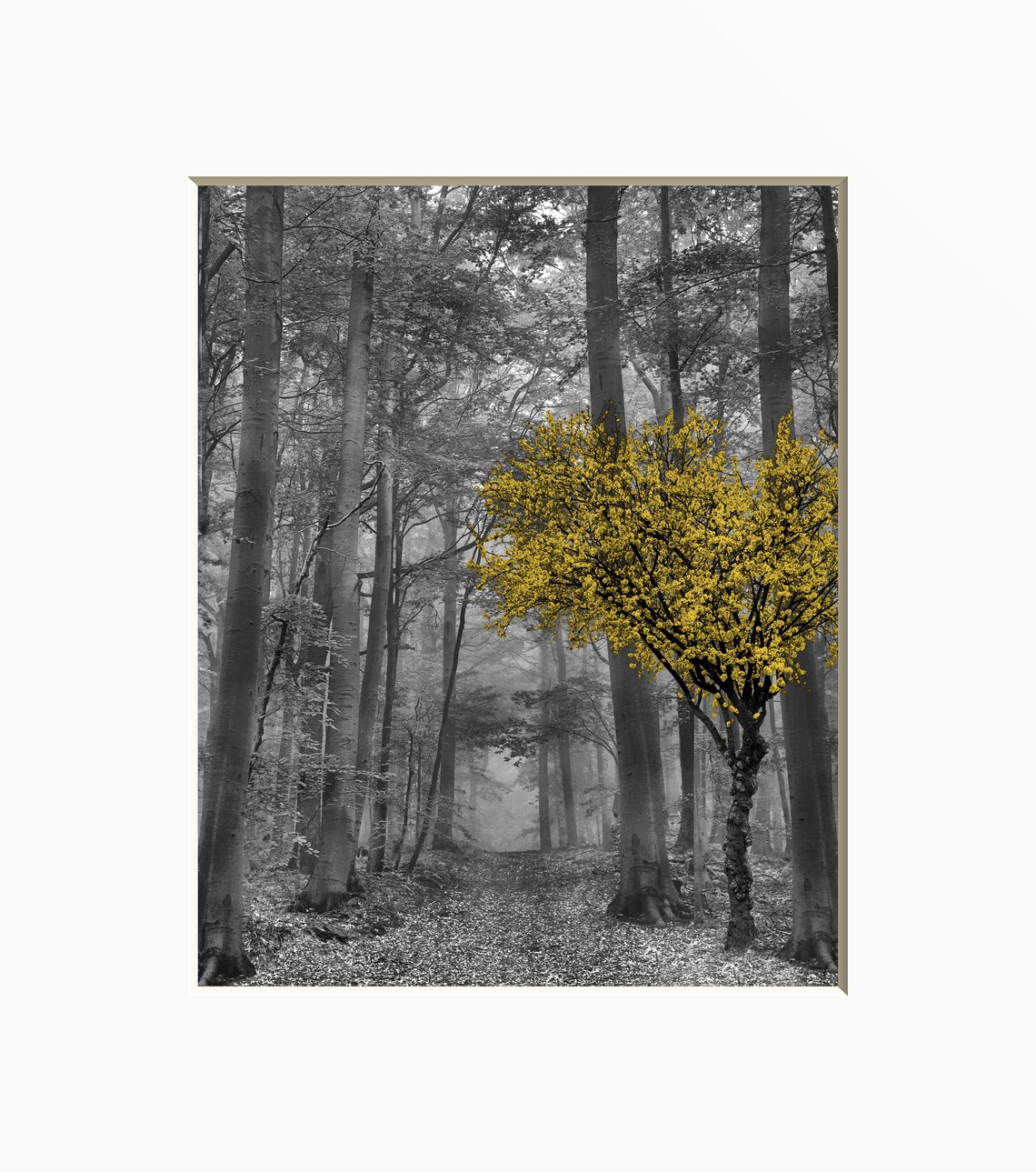Black White Yellow Tree Forest Path Wall Art Yellow Pop of | Etsy
