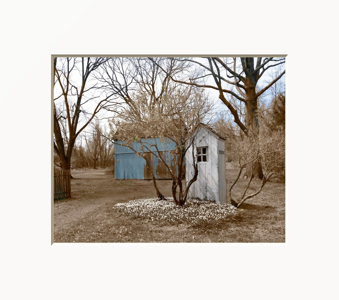Brown Blue Barn Outhouse Photography Bathroom Home Decor Matted Wall ...