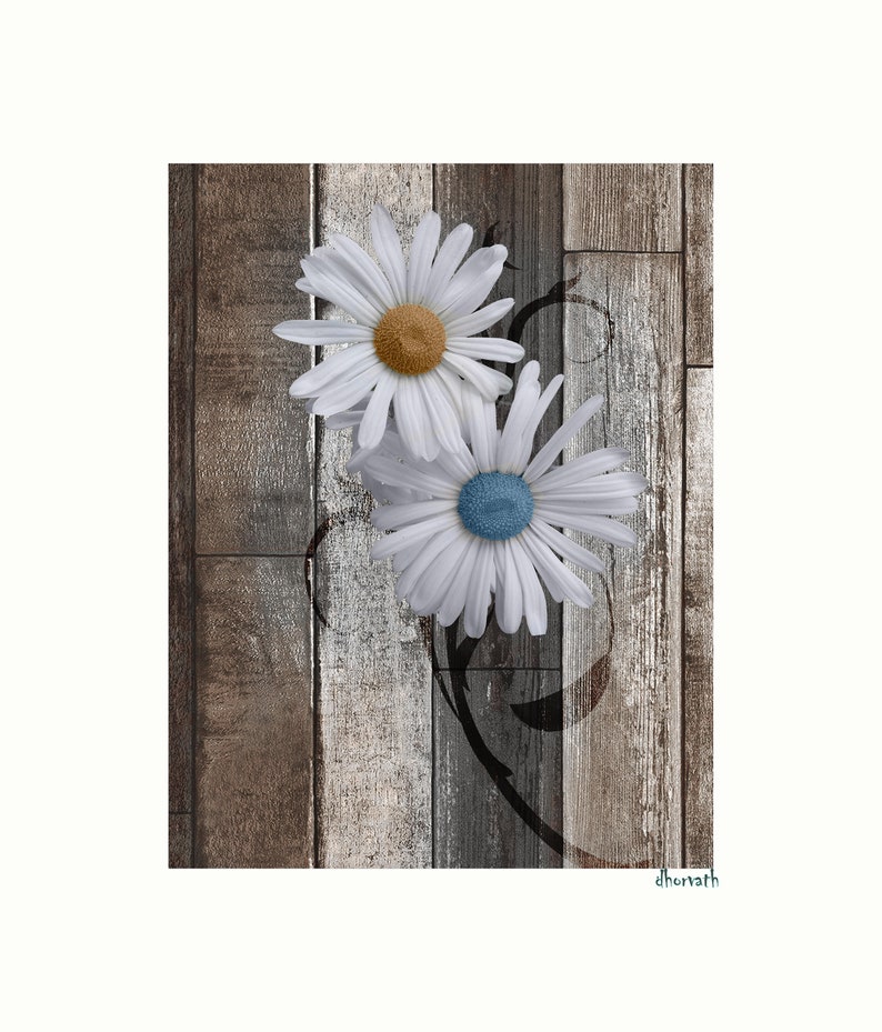Rustic Barn Wall Art Farmhouse Country Daisy Flowers Home - Etsy