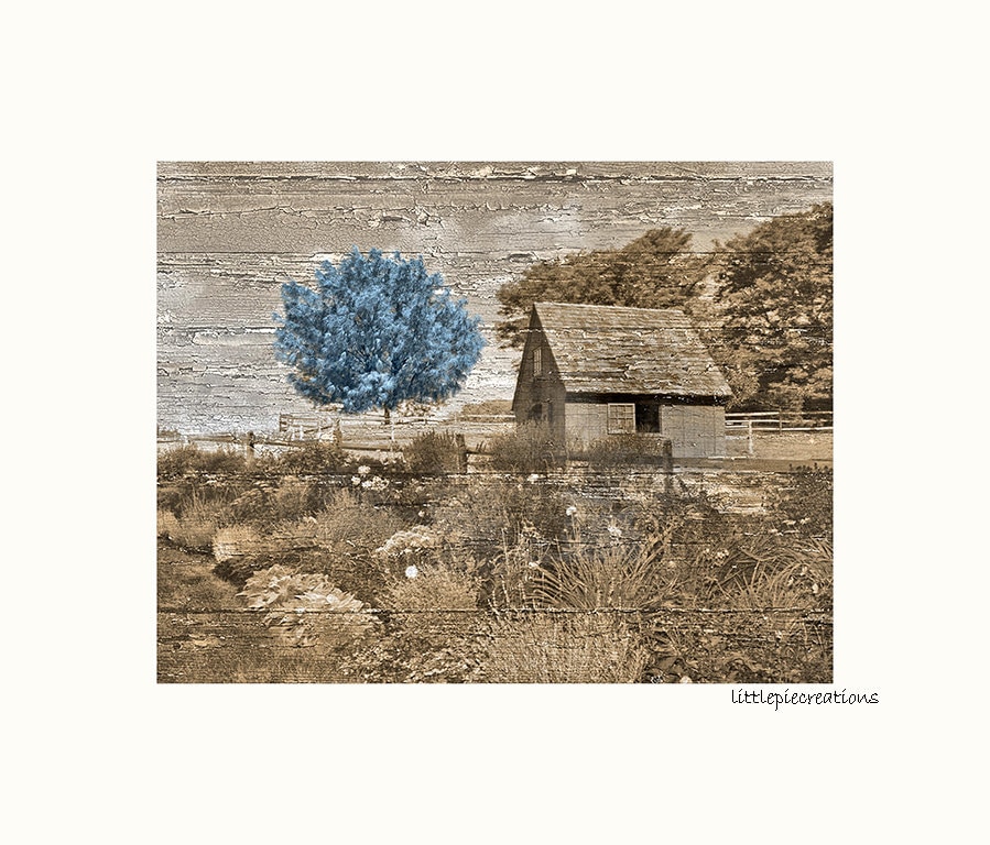 Brown Blue Rustic Modern Farmhouse Barn Photography Wall Art - Etsy