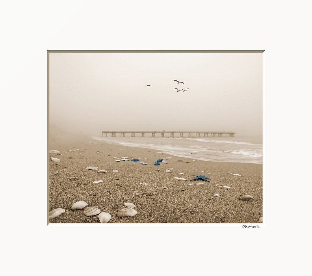 Brown Blue Home Decor Beach Sea Shells Warm Nutural Bedroom Bathroom ...