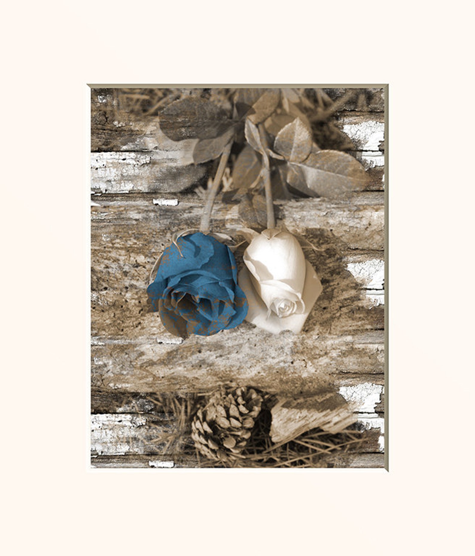 Rustic Blue Wall Decor Photography Photo Art Butterfly - Etsy