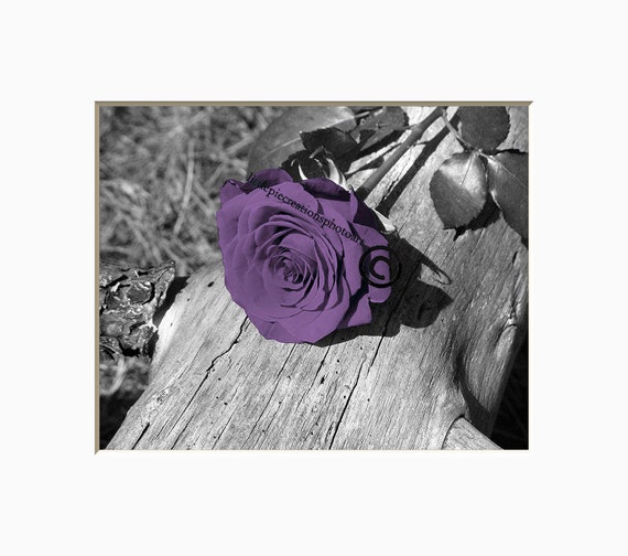 Purple Gray Rose Flower Photography Purple Home Decor Bedroom - Etsy