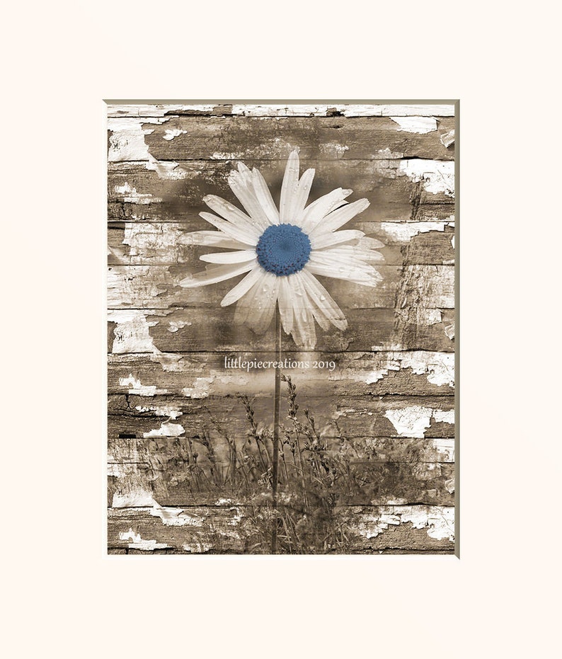 Blue Gray Rustic Modern Wall Art Daisy Flowers Butterflies | Etsy