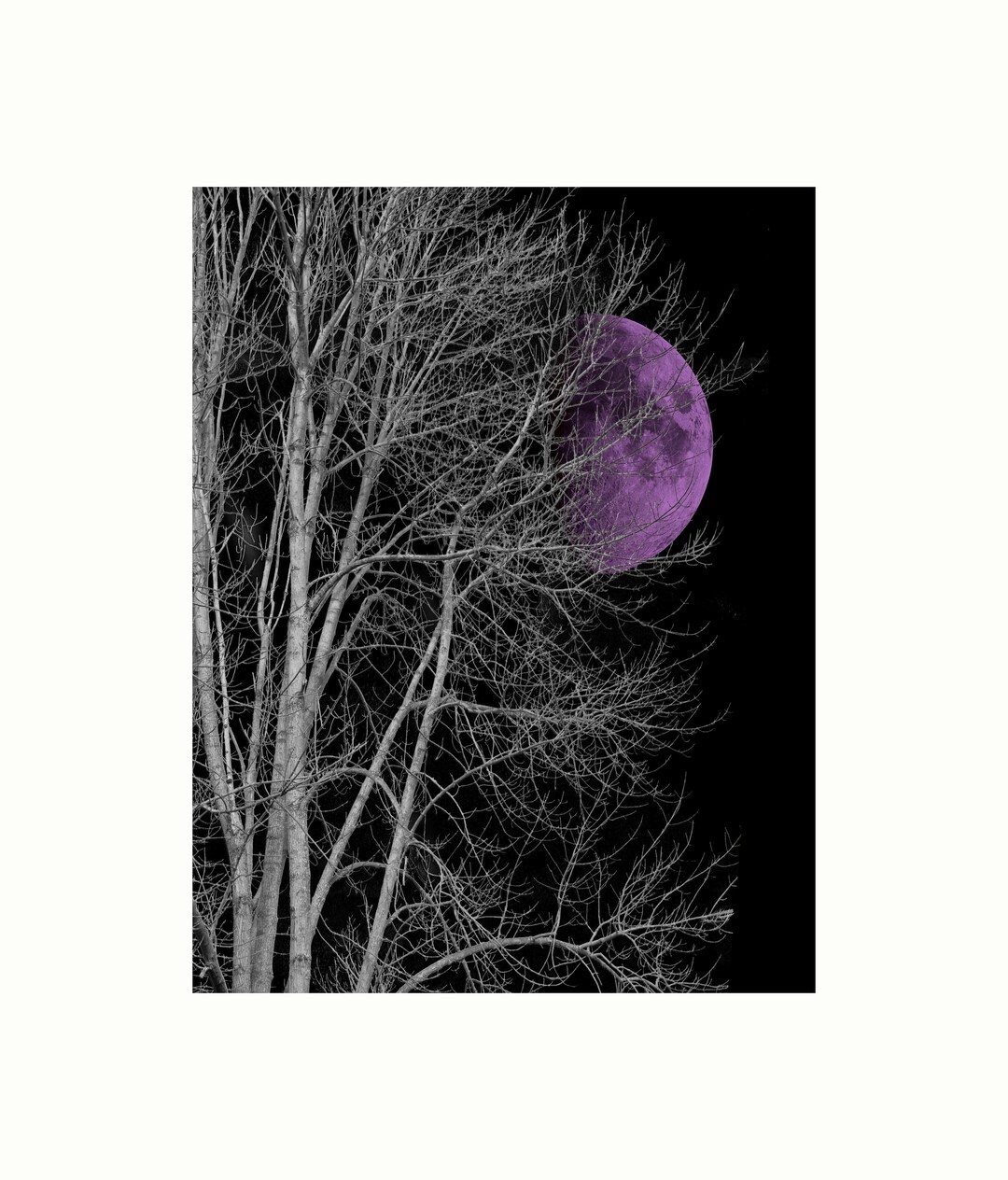 Black White Purple Moon Tree Home Decor Bedroom Photography Matted Wall ...