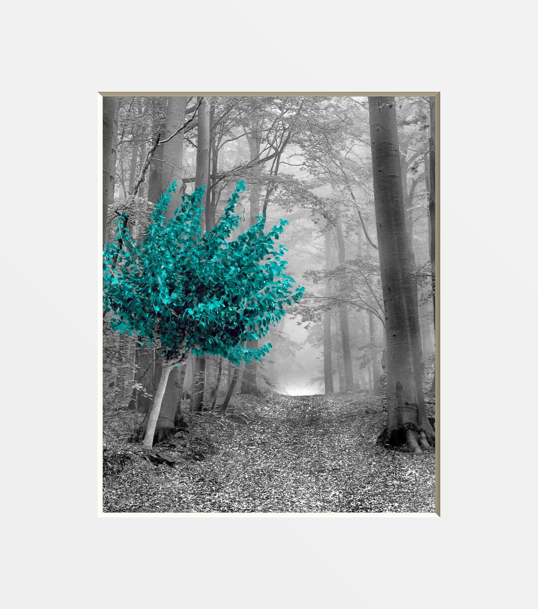 Teal Art Pictures, Tree Forest Path, Teal Bedroom Living Room ...