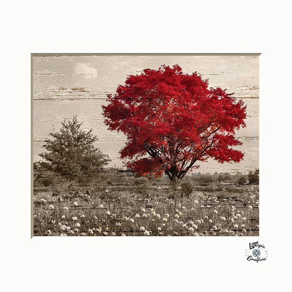 Red Farmhouse Decor - Etsy