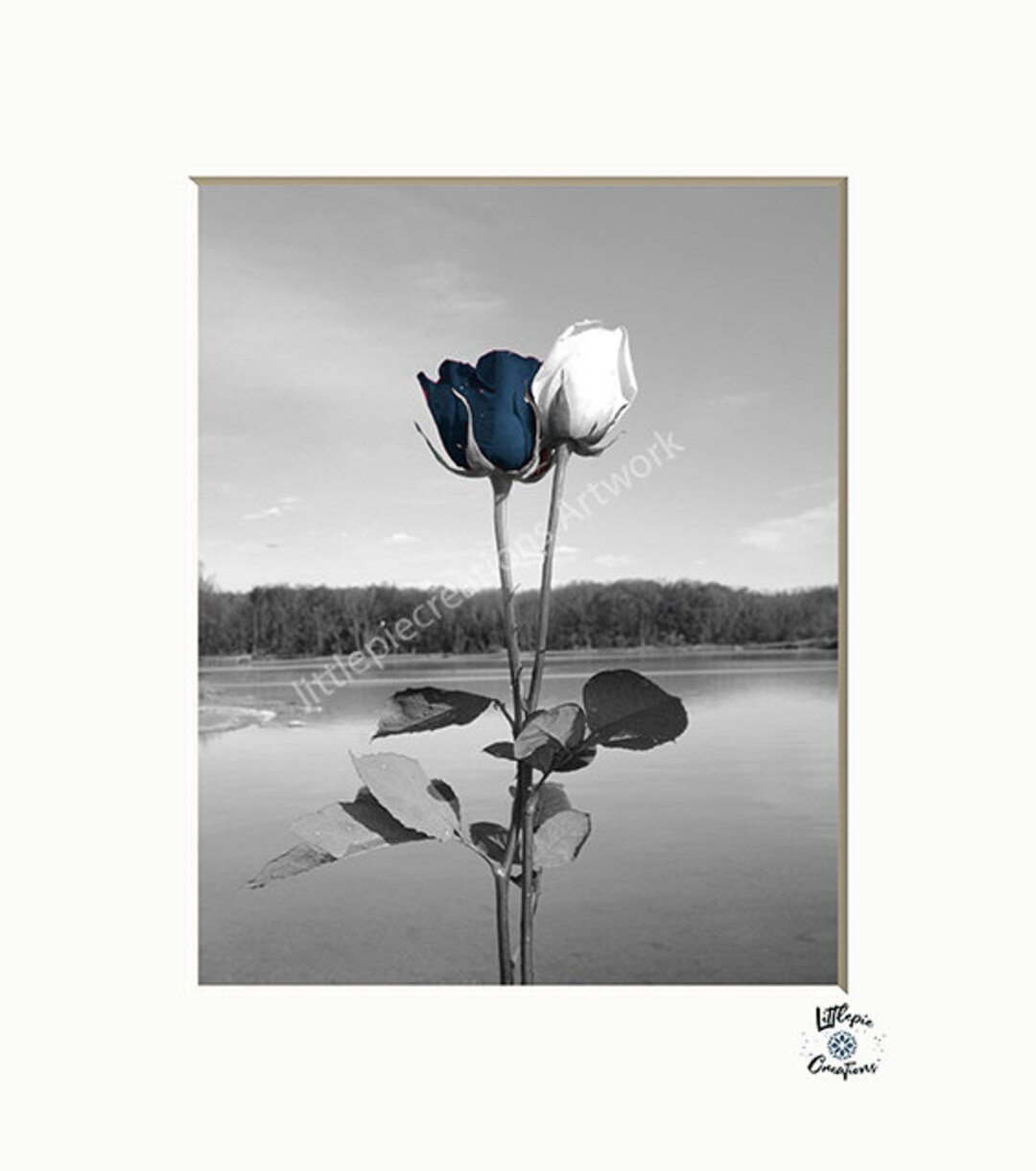 Blue Gray Wall Art, Dark Blue Rose Flowers Lake Bathroom Bedroom Matted ...