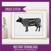 Funny Cross Stitch Pattern Cross Stitch PDF Funny Cross - Etsy