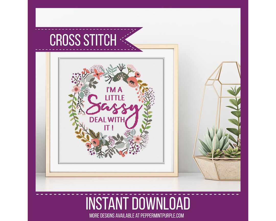 Modern Cross Stitch Pattern Sarky Sassy Snarky Subversive - Etsy