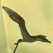 Birds in Flight Sculpture Vintage Mid Century Cast Bronze Birds in ...