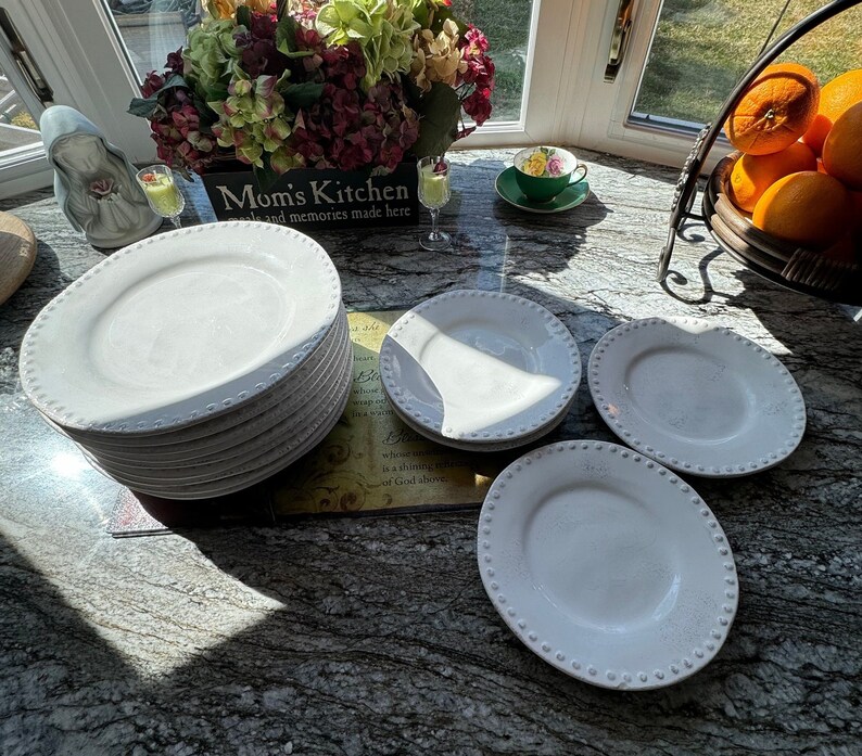 Maison Versailles Blanc Brigette Pattern. Embossed Bead Edge Dinner and ...