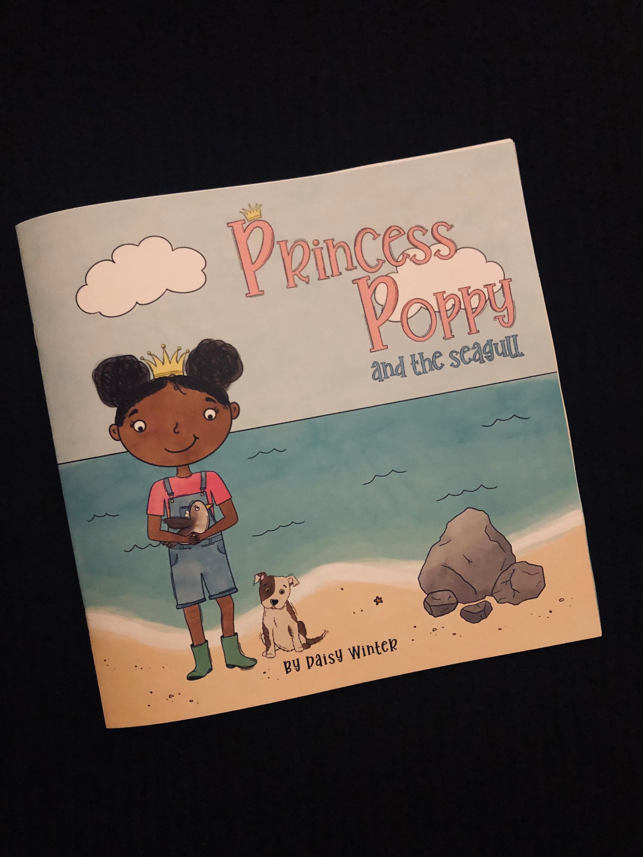 Princess Poppy and the Seagull Children’s Story Book - Etsy UK