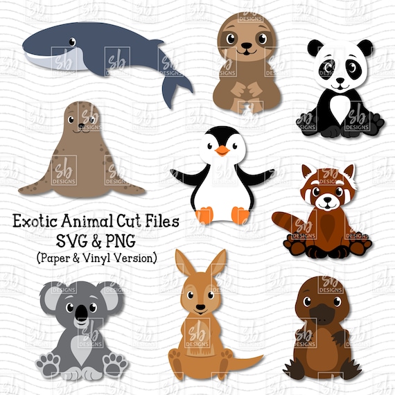 Tier SVG Zoo Tiere SVG Australische Tiere SVG Süße Tiere - Etsy.de