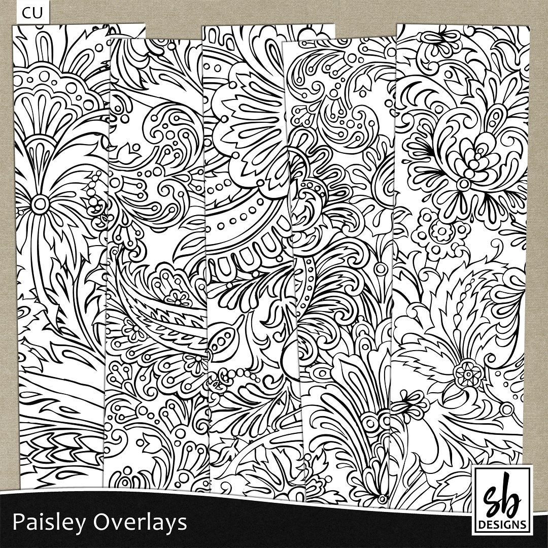 Digital Paper - Pattern Overlays - Digital Patterns - Paisley Overlays ...