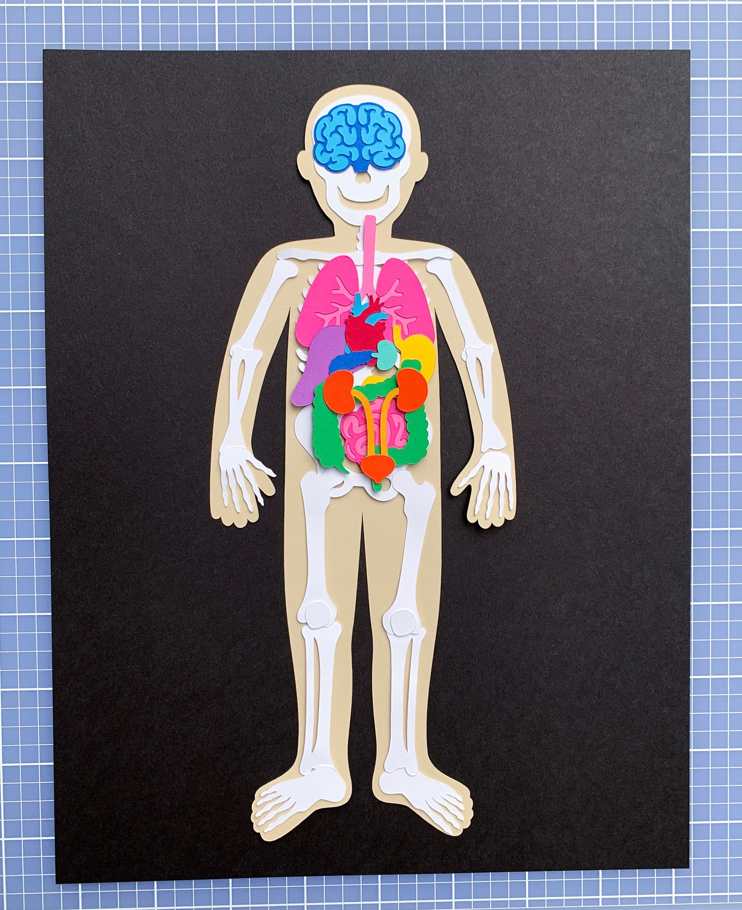Human Anatomy SVG, Human Anatomy Cut Files, Skeleton Cut File, Home ...