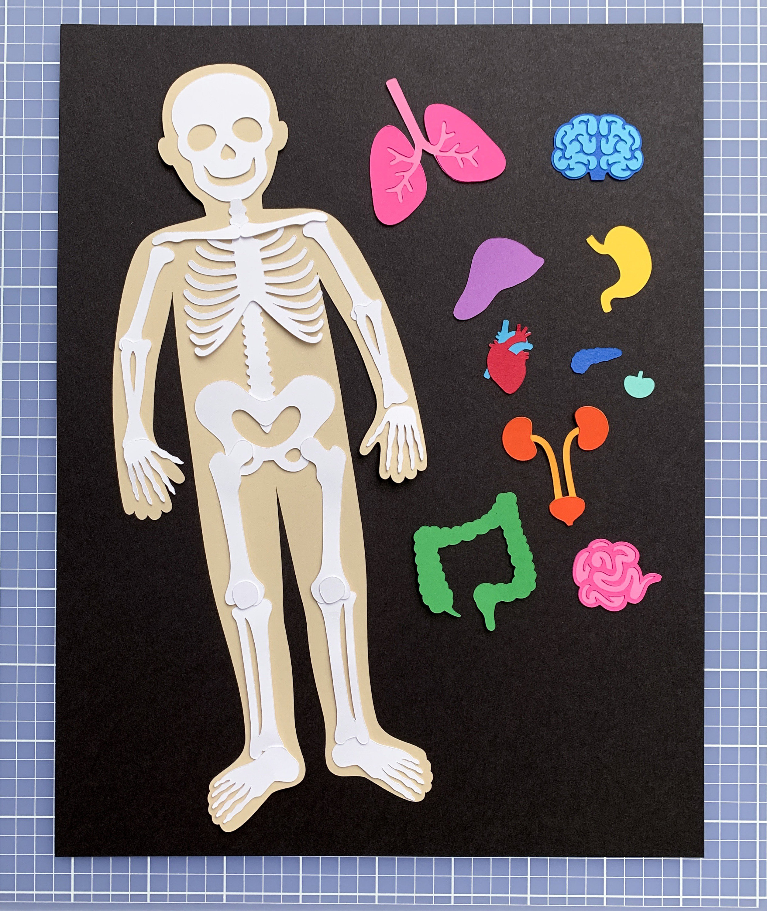 Human Anatomy SVG Human Anatomy Cut Files Skeleton Cut File | Etsy