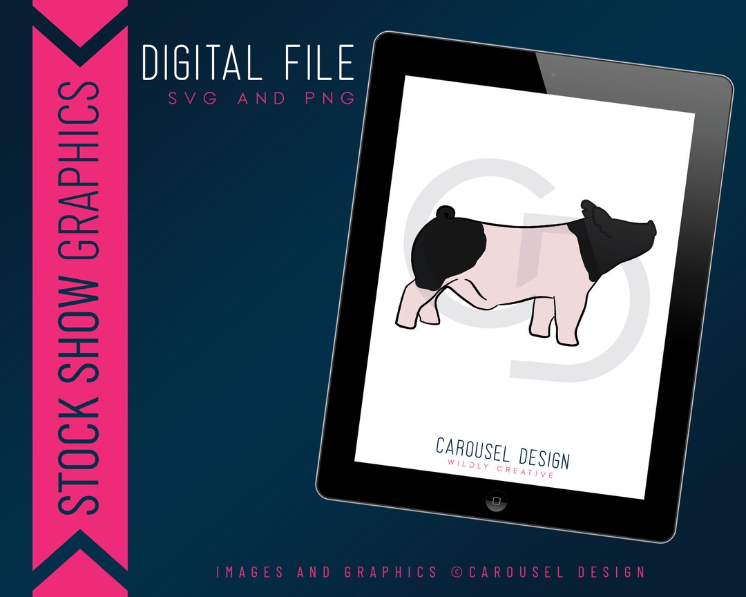 Show Pig Barrow Livestock Graphic Digital File 2023.2 - Etsy