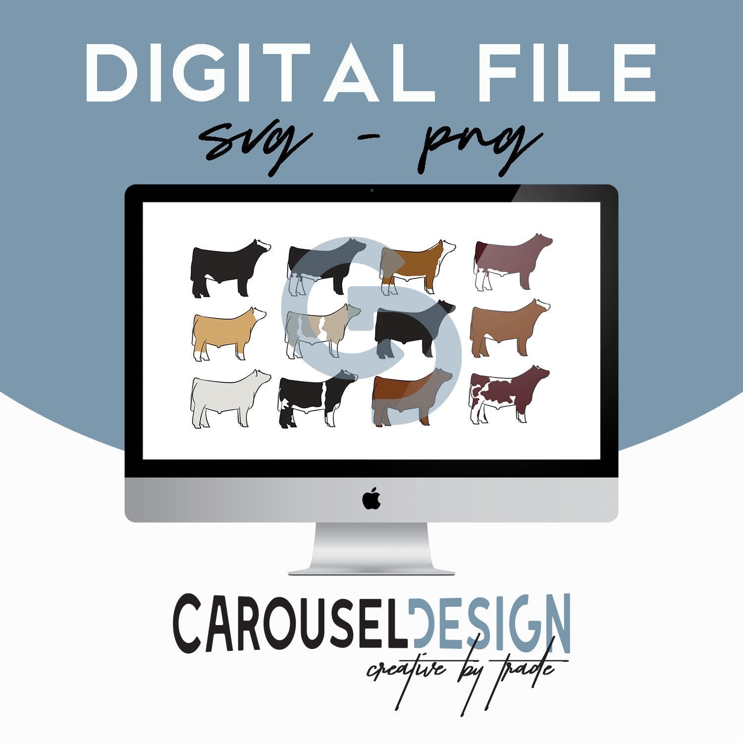 Show Steer Livestock Graphic Digital File Bundle - Etsy