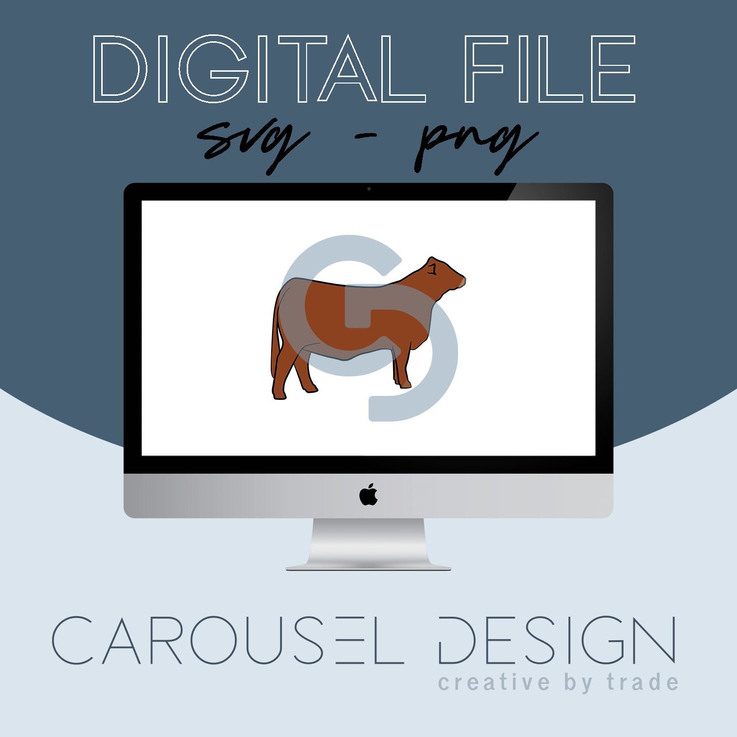 Beefmaster Show Heifer Livestock Graphic Digital File - Etsy