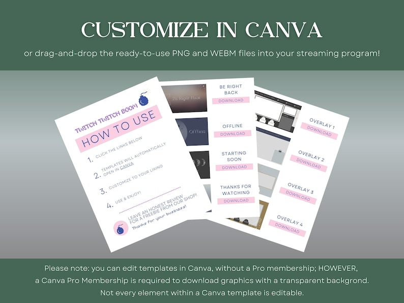 Basic Witch Autumn Stream Pack Twitch Stream Overlay Pack Twitch ...