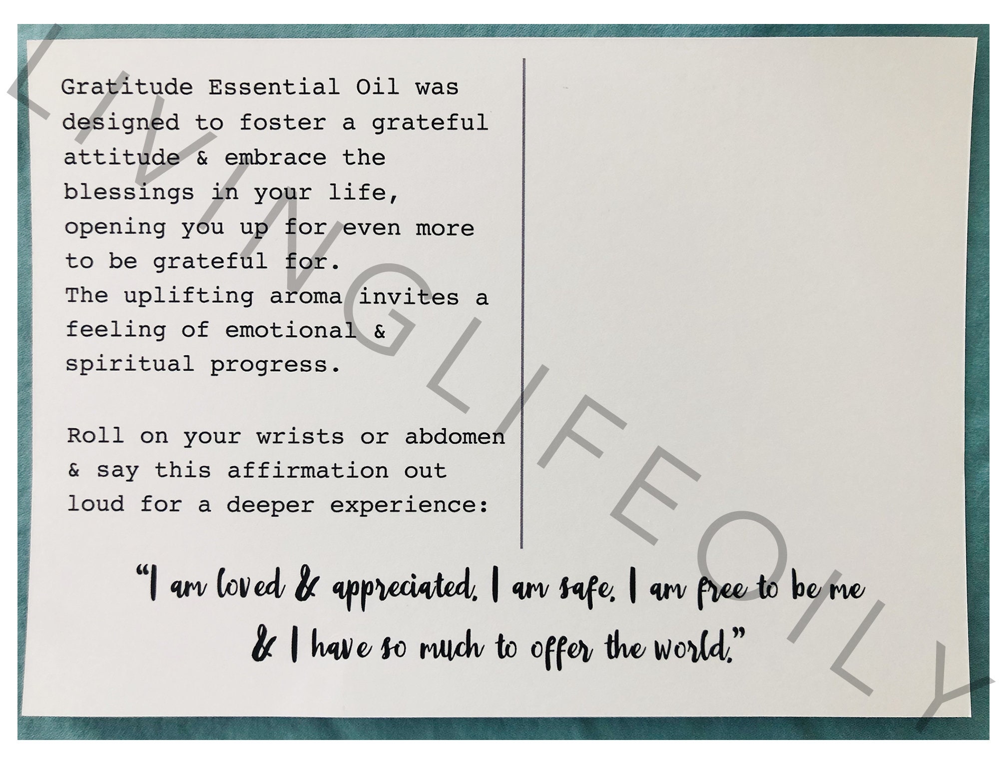 Gratitude Post Card - Etsy