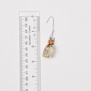 Liquid Luck Ornament | Two Sizes to Choose From! | Magical Potion ...