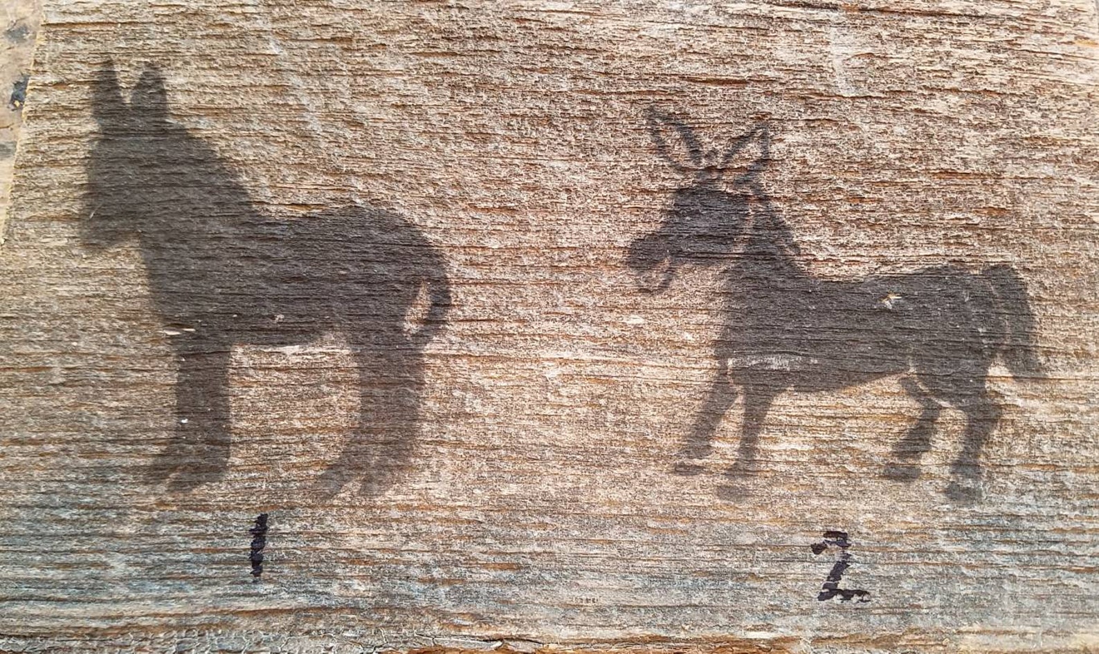 Always Kiss Your Donkeys Goodnight Donkey Love Donkey Sign - Etsy